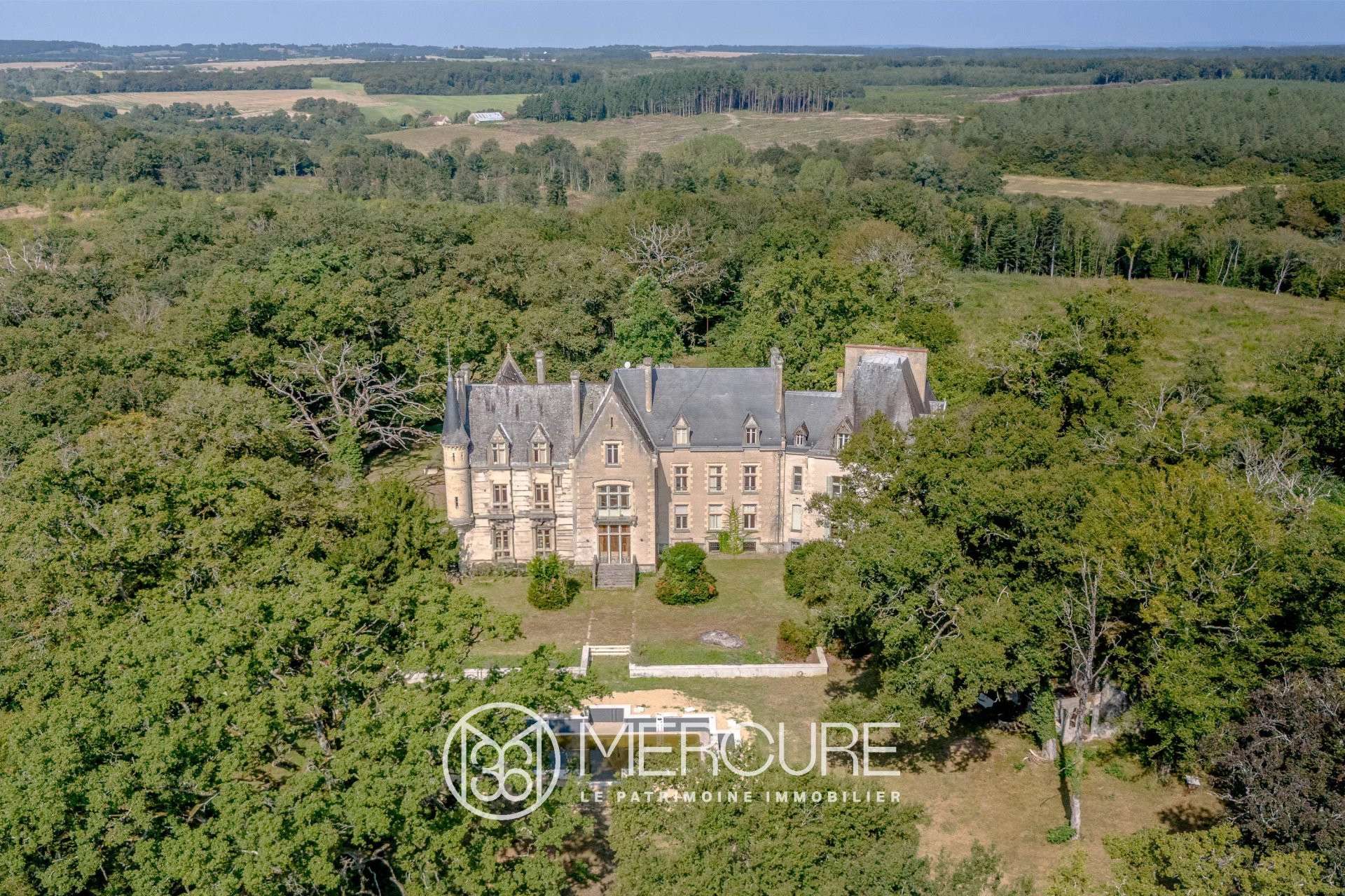 Château à vendre à La Guerche-sur-l'Aubois : 1 190 000€ | 1173m²