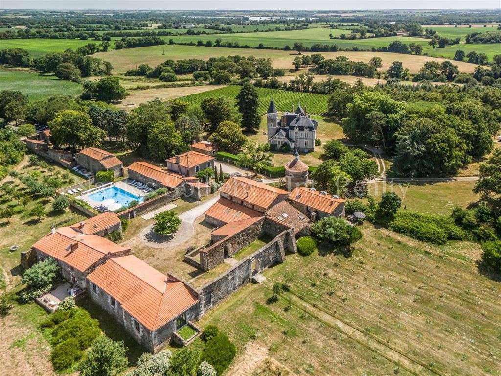 Château à vendre à Mareuil-sur-Lay-Dissais : 1 780 000 € | 300m²