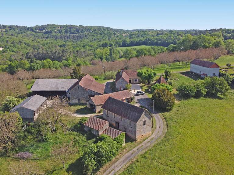 Vente immobilier de luxe à Saint-André-d'Allas 24200
